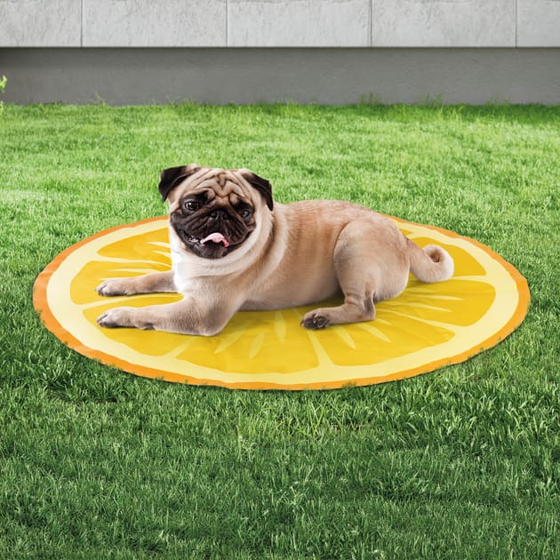 My Pets Cooling Mat - Orange | Home Bargains
