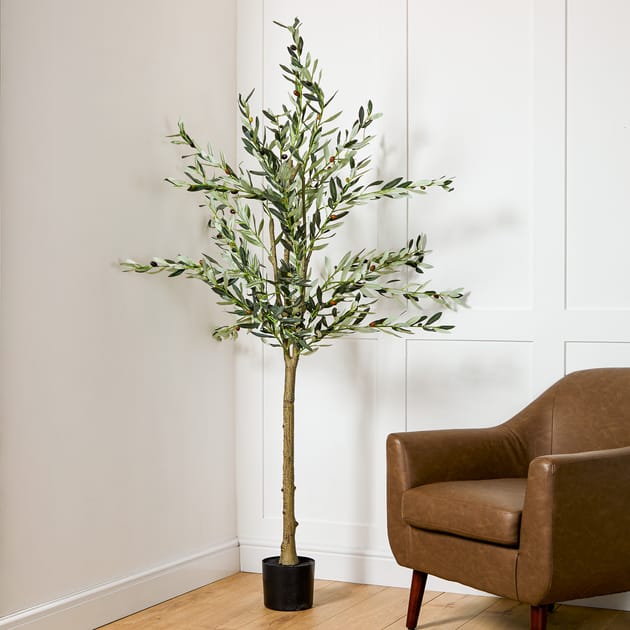 Home Collection Olive Tree 180cm | Home Bargains