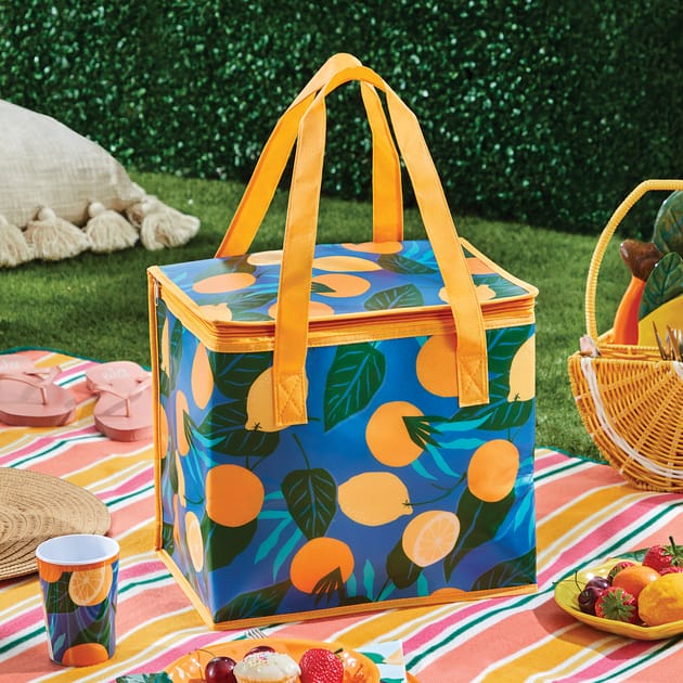 The Outdoor Living Collection Large Cooler Bag | Home Bargains