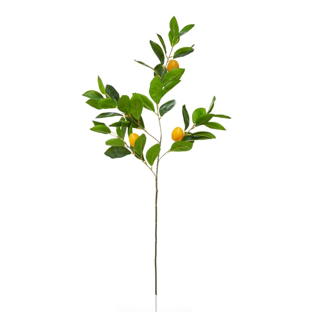 The Outdoor Edit Mediterranean Lemon Pick | Home Bargains