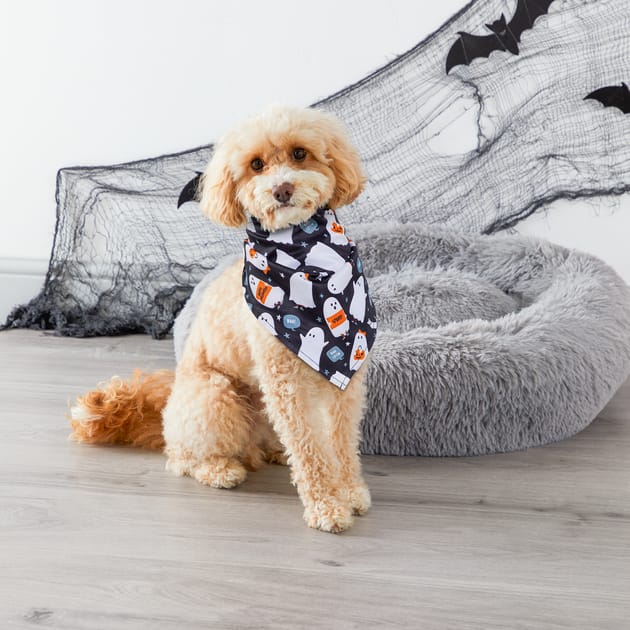 My Pets Halloween Pet Bandana - Ghost | Home Bargains