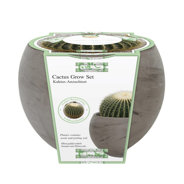 Cactus Grow Set with Ceramic Planter | Home Bargains