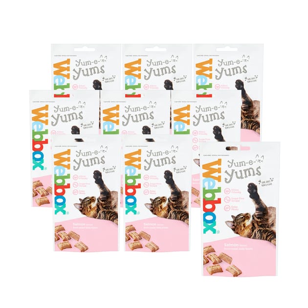 Webbox Yum-e-Yums Semi-Moist Tasty Treats Salmon Flavour 40g x9 | Home ...